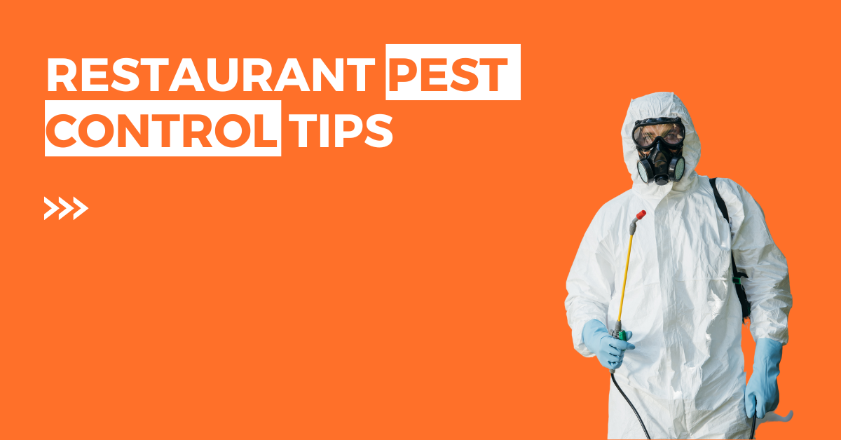 Restaurant Pest Control Tips